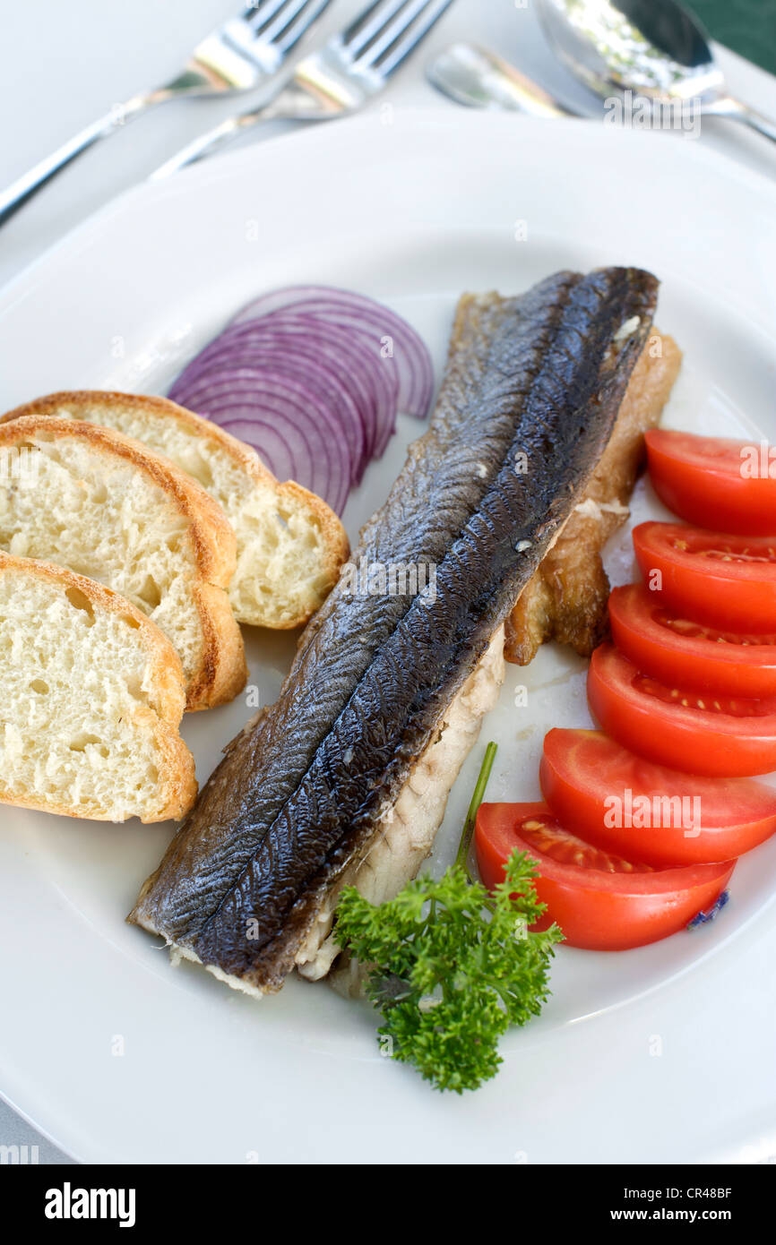 Serving eel hi-res stock photography and images - Alamy