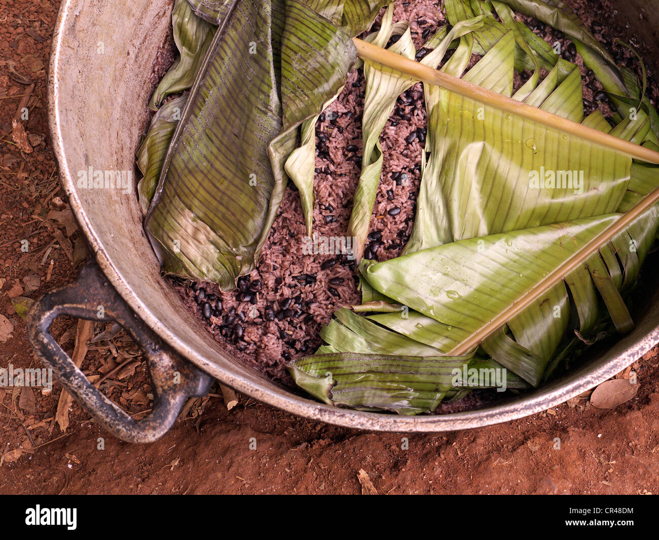 Pinar del rio cuba hi-res stock photography and images - Alamy