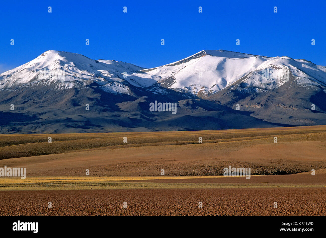 Chile, Antofagasta Region, El Loa Province, Sur Lipez volcano chain at ...