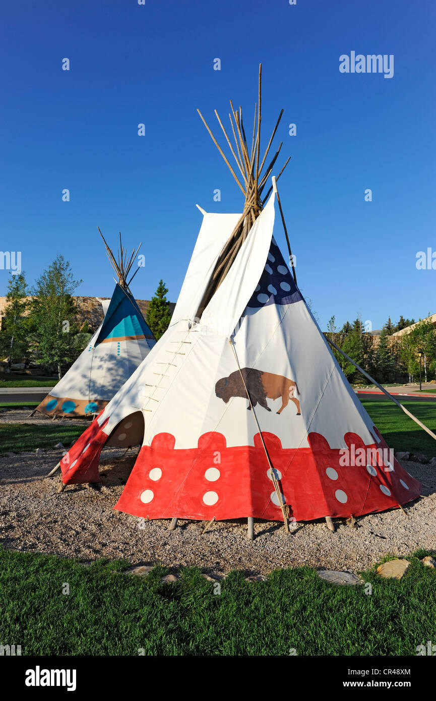 Native american buffalo home hi-res stock photography and images - Alamy