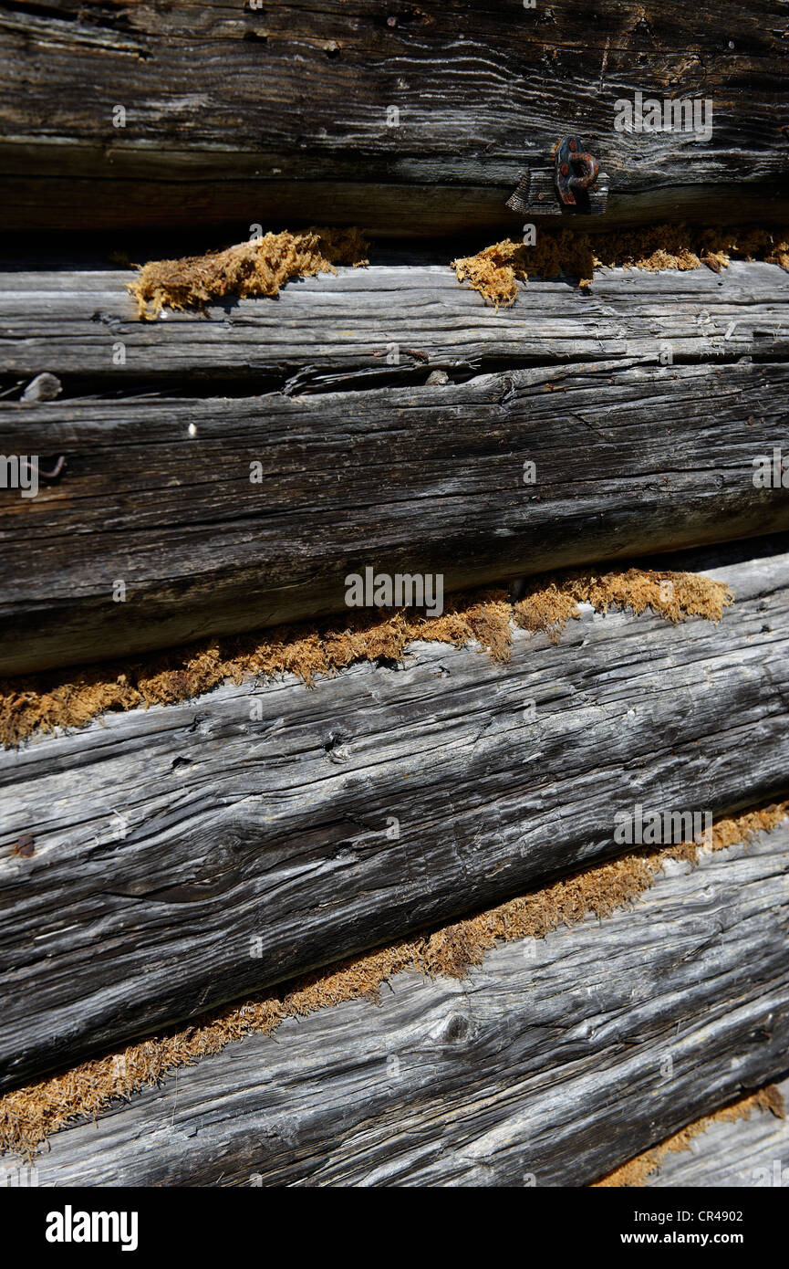 Wooden house, log cabin, natural isolation from lichen, moss and grass ...