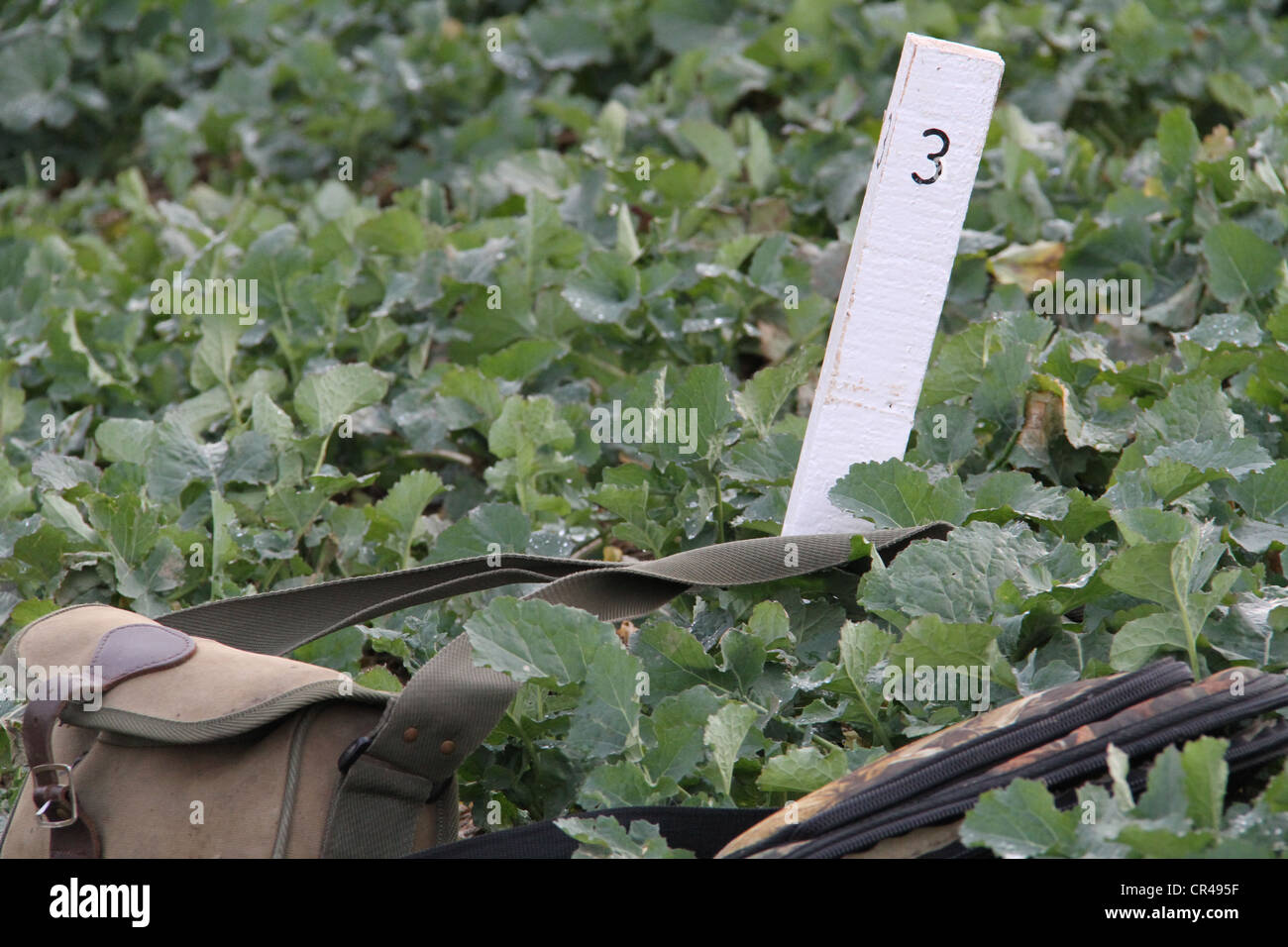Shooting peg hi-res stock photography and images - Alamy