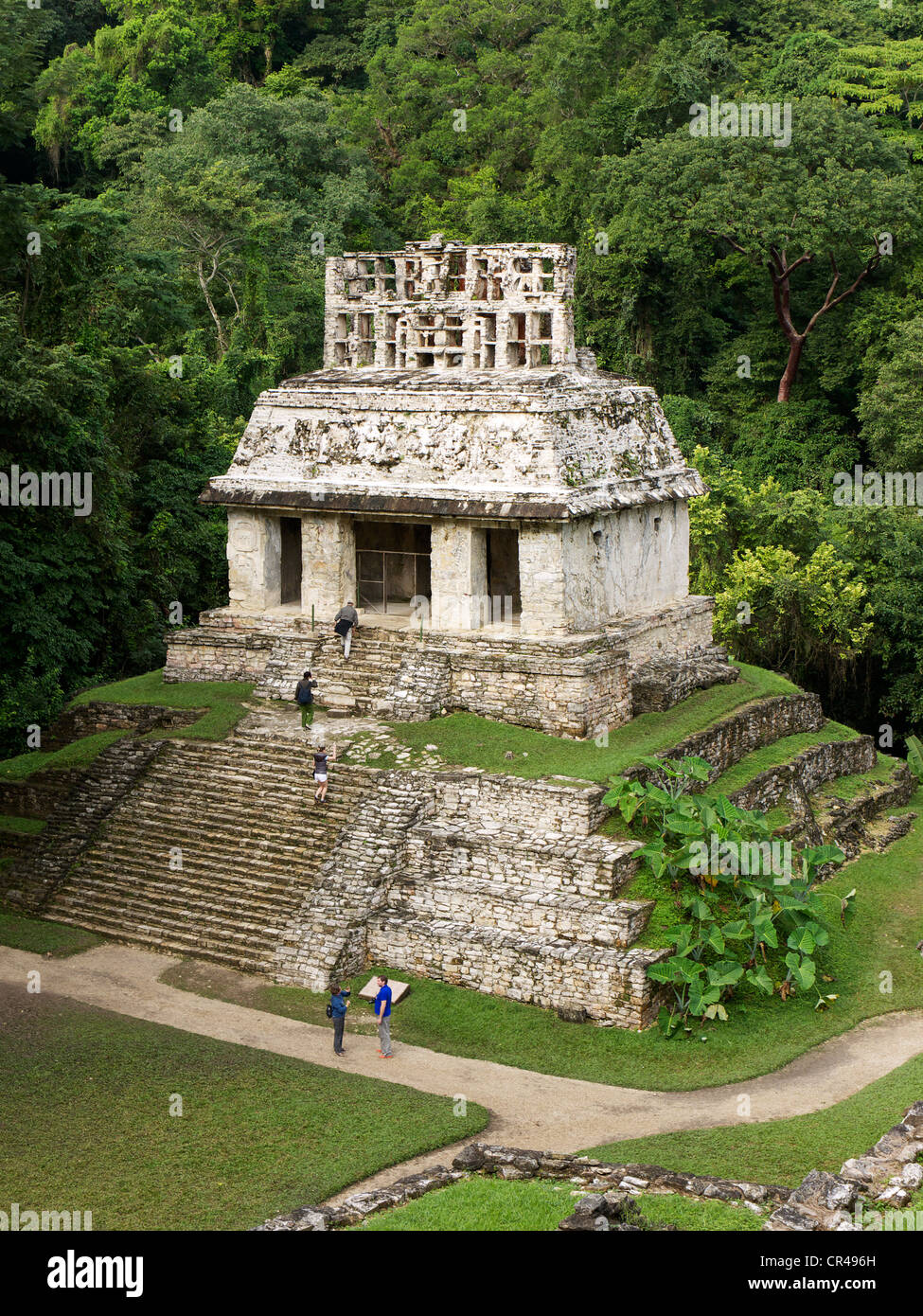 Palenque ruins, Chiapas, Mexico, America Stock Photo - Alamy