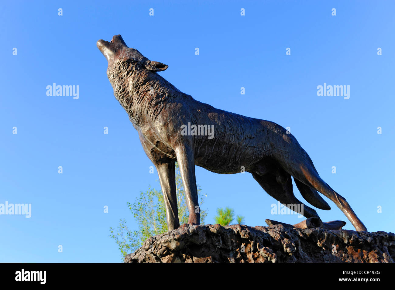 Buffalo bill center west statue hi-res stock photography and images - Alamy