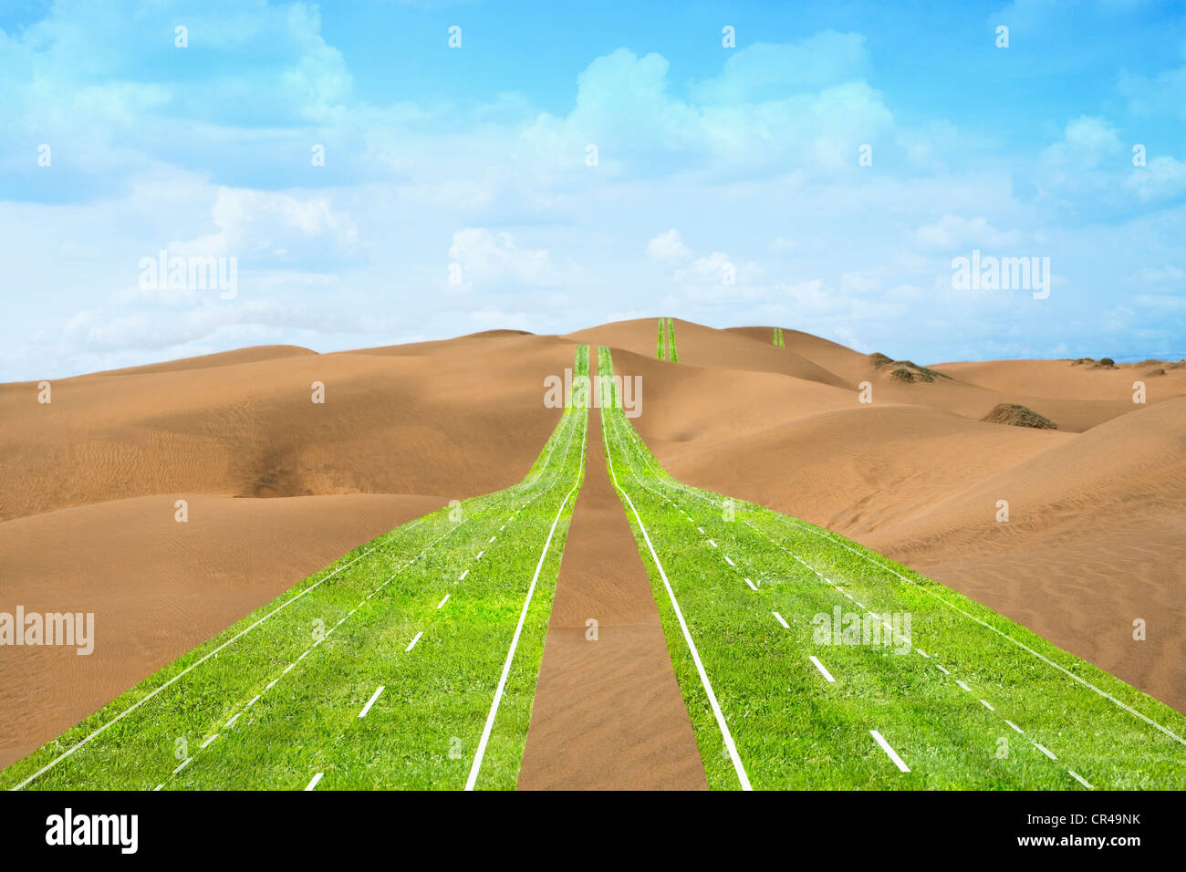 Highway of grass crossing the desert Stock Photo - Alamy