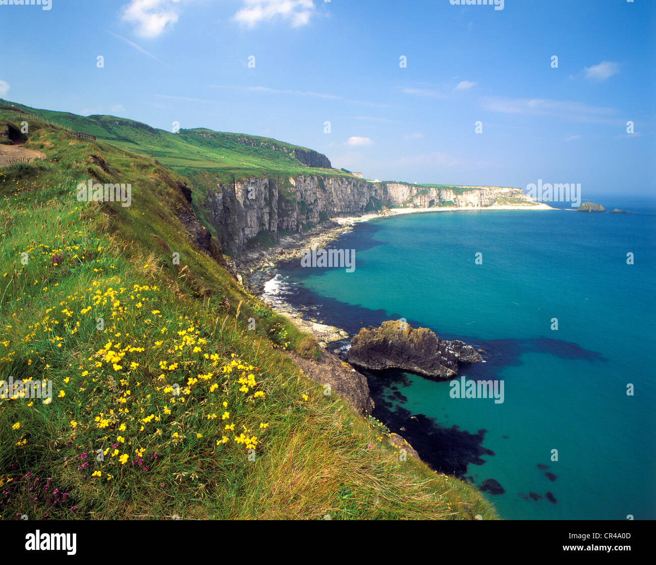 Coastline at Carrick a Rede, County Antrim, Northern Ireland, United ...