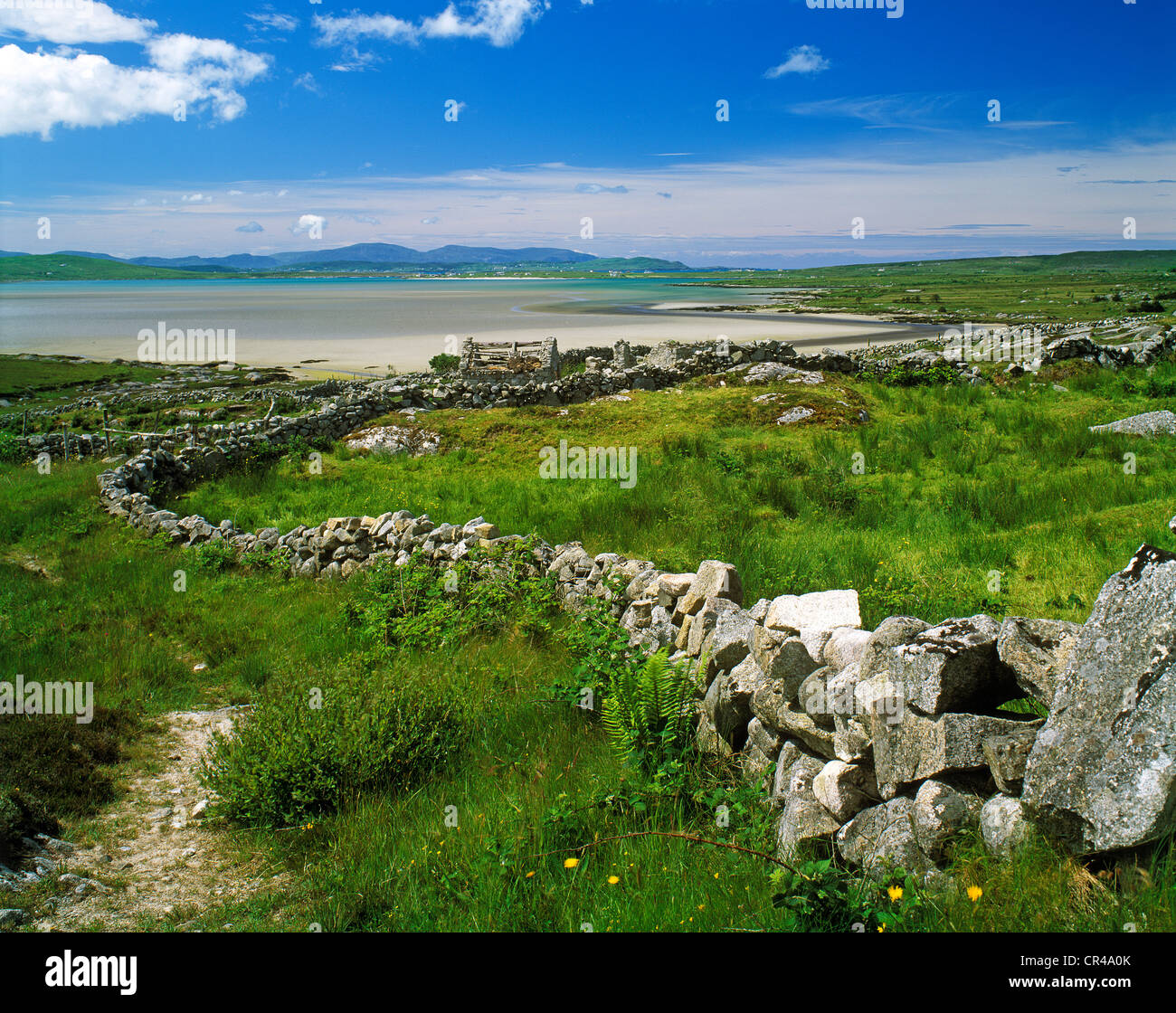 Trawenagh hi-res stock photography and images - Alamy