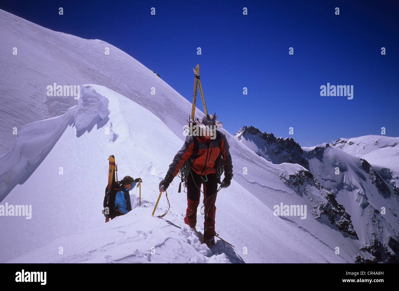 Switzerland, canton of Bern, Bernese Oberland (highlands), Alpine ...