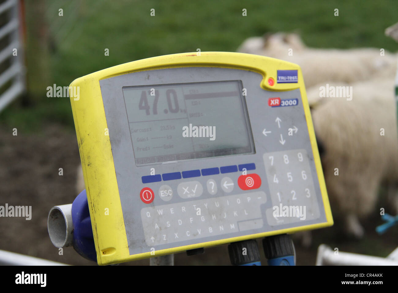 Farming scales hi-res stock photography and images - Alamy