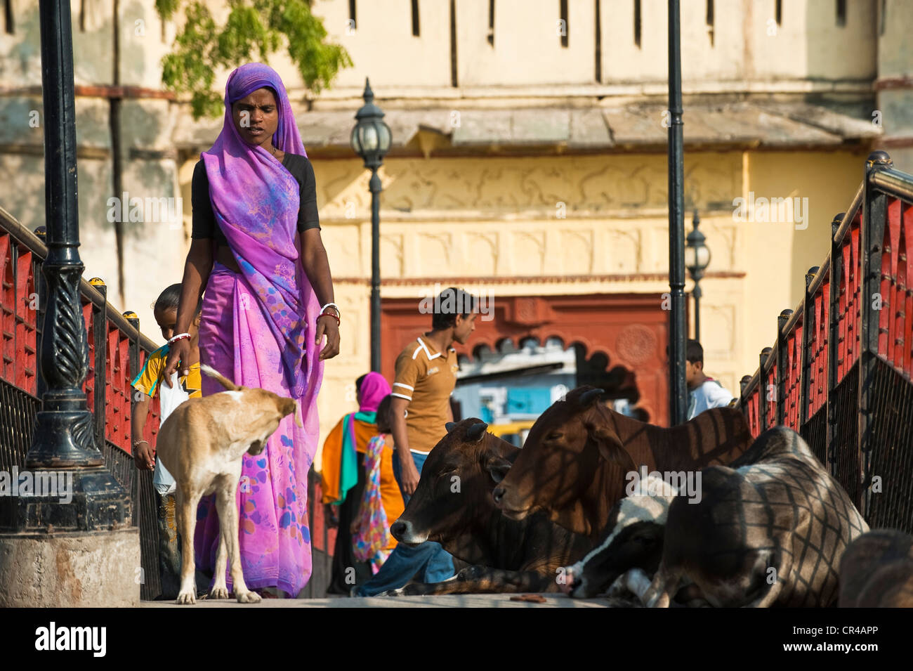 India, Rajasthan State, Udaipur, Daiji Bridge Stock Photo - Alamy