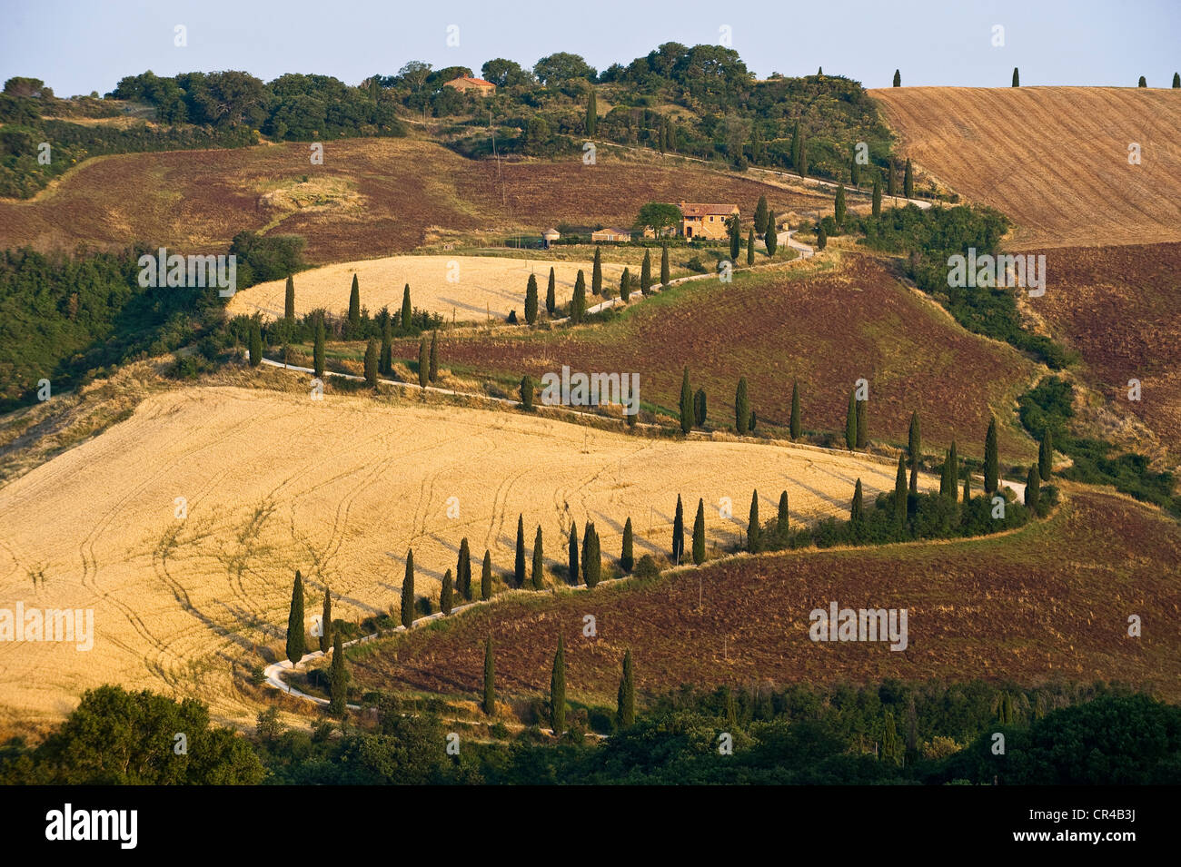 Italy, Tuscany, Val d'Orcia UNESCO World Heritage, Pienza area Stock ...
