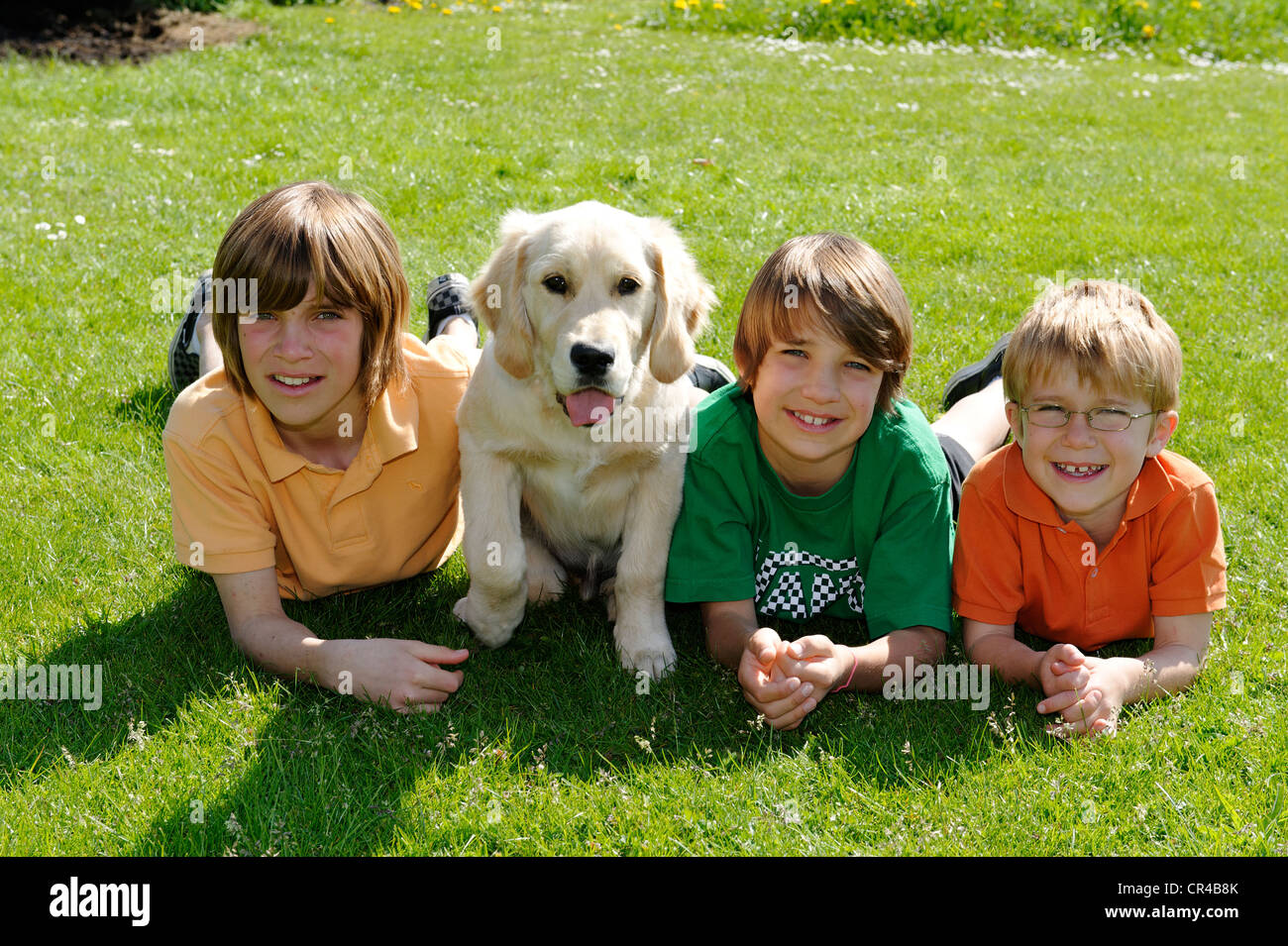 Three boys, brothers, siblings and a dog Stock Photo - Alamy
