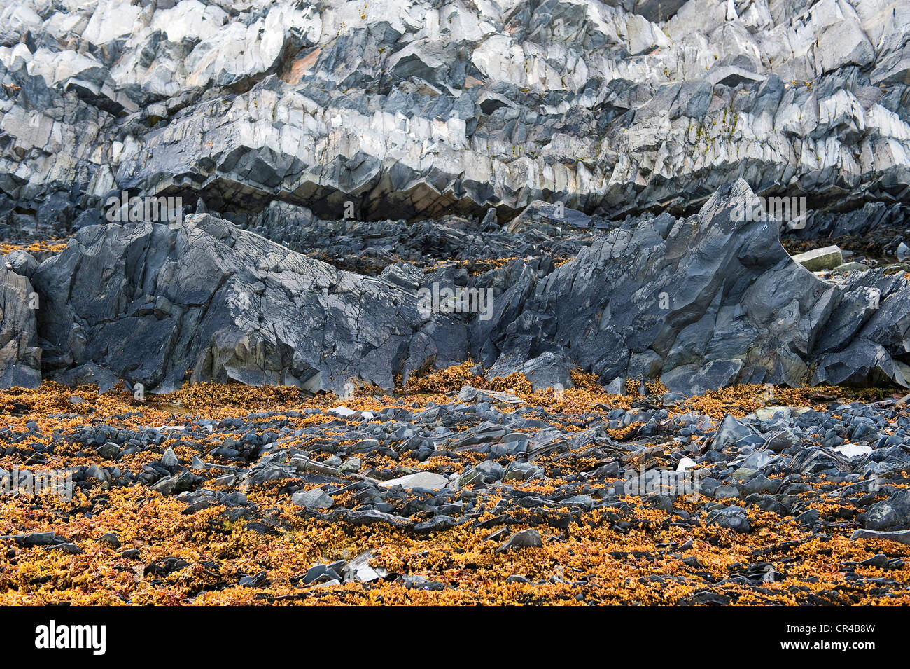 Norway, Lapland, Finnmark County, Varanger Peninsula, Northern Coast ...