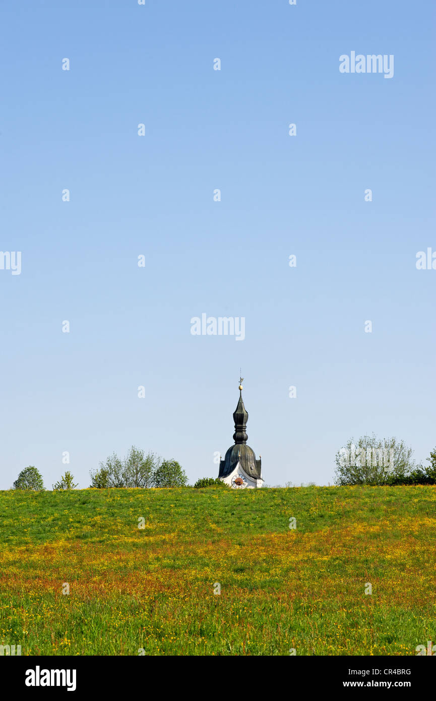 Steeple of the parish church of St. Korbinian with spring meadows ...