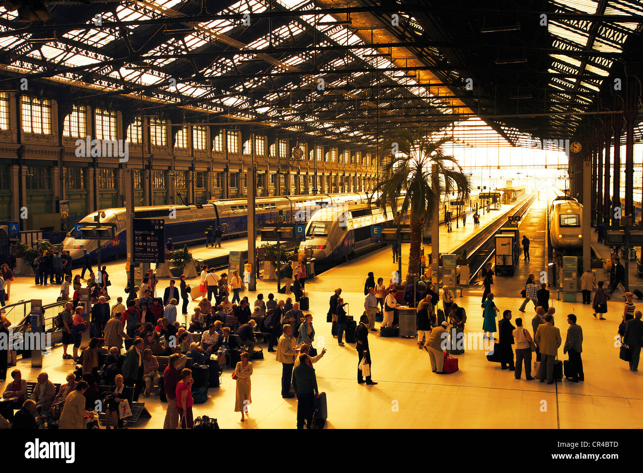 France, Gare de Lyon Railway Station Stock Photo - Alamy