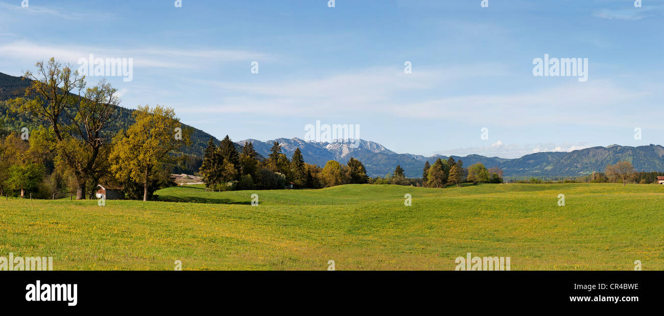 Landscape near Greiling, Toelzer Land region, Upper Bavaria, Germany ...