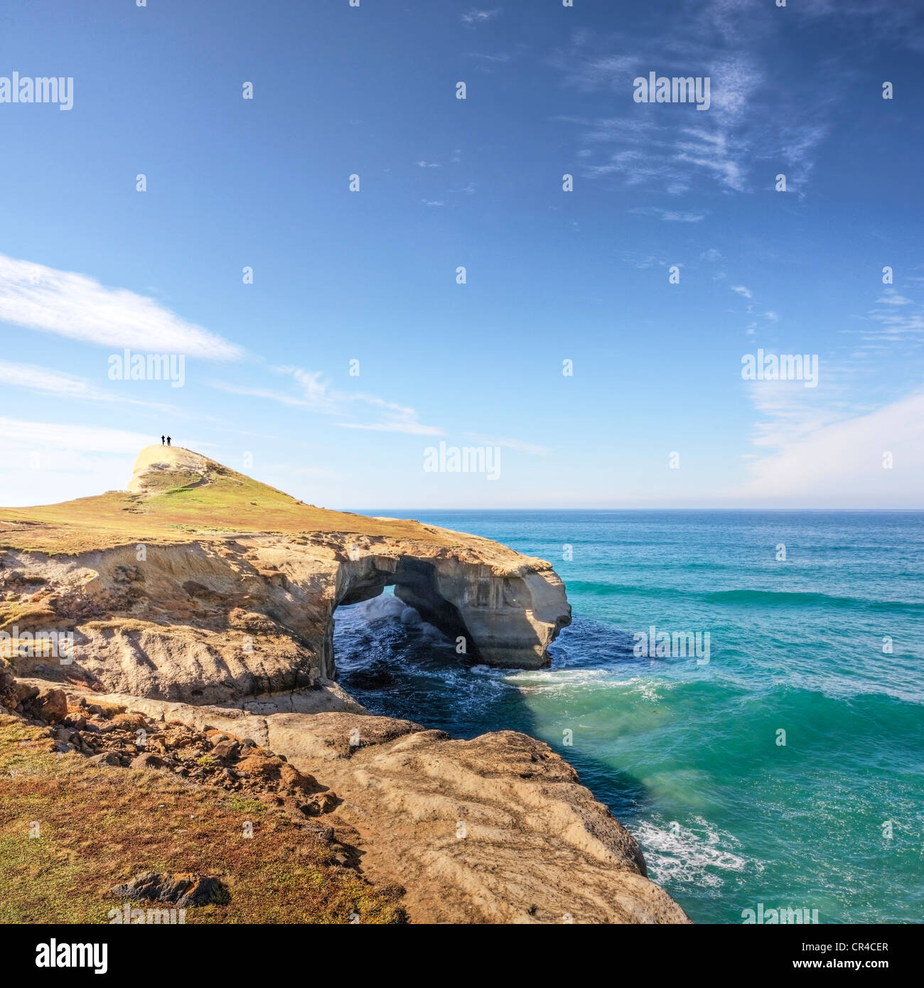 Dunedin beach hi-res stock photography and images - Alamy
