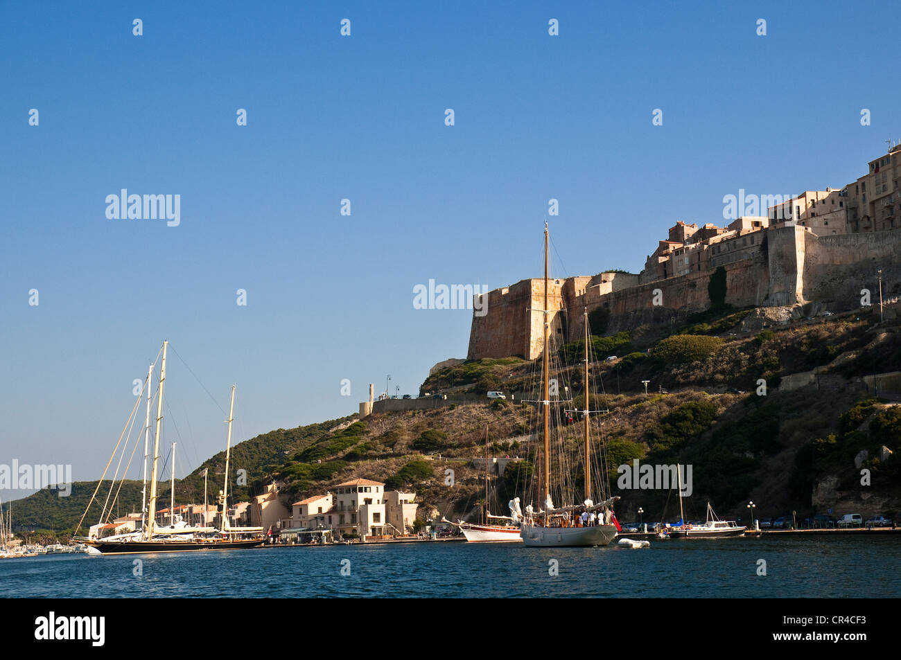 France, Corse du Sud, Bonifacio, marina, boat at the foot of the old ...