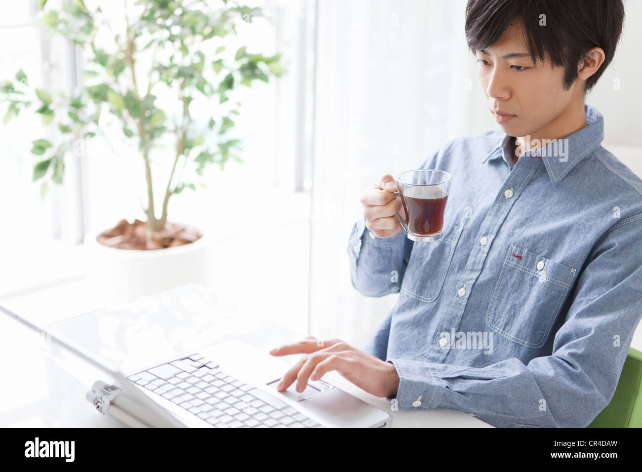 Young Man Using Laptop Stock Photo - Alamy