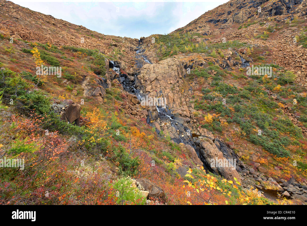 Mont Albert landscape, Gaspesie National Park, Quebec, Canada Stock ...