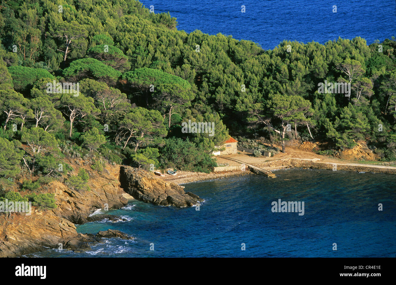 France, Var, Rayol Canadel sur Mer, tip of the Chappe Stock Photo - Alamy