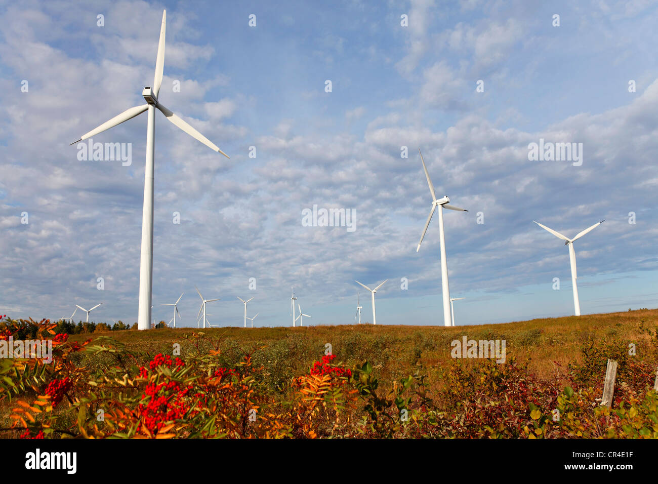 Wind turbines, wind farm, Cap Chat, Matane, Gaspesie, Quebec, Canada ...