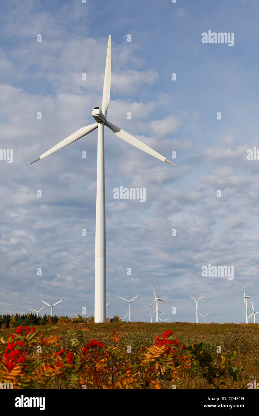 Wind turbine, Cap Chat, Matane, Gaspesie, Quebec, Canada Stock Photo ...