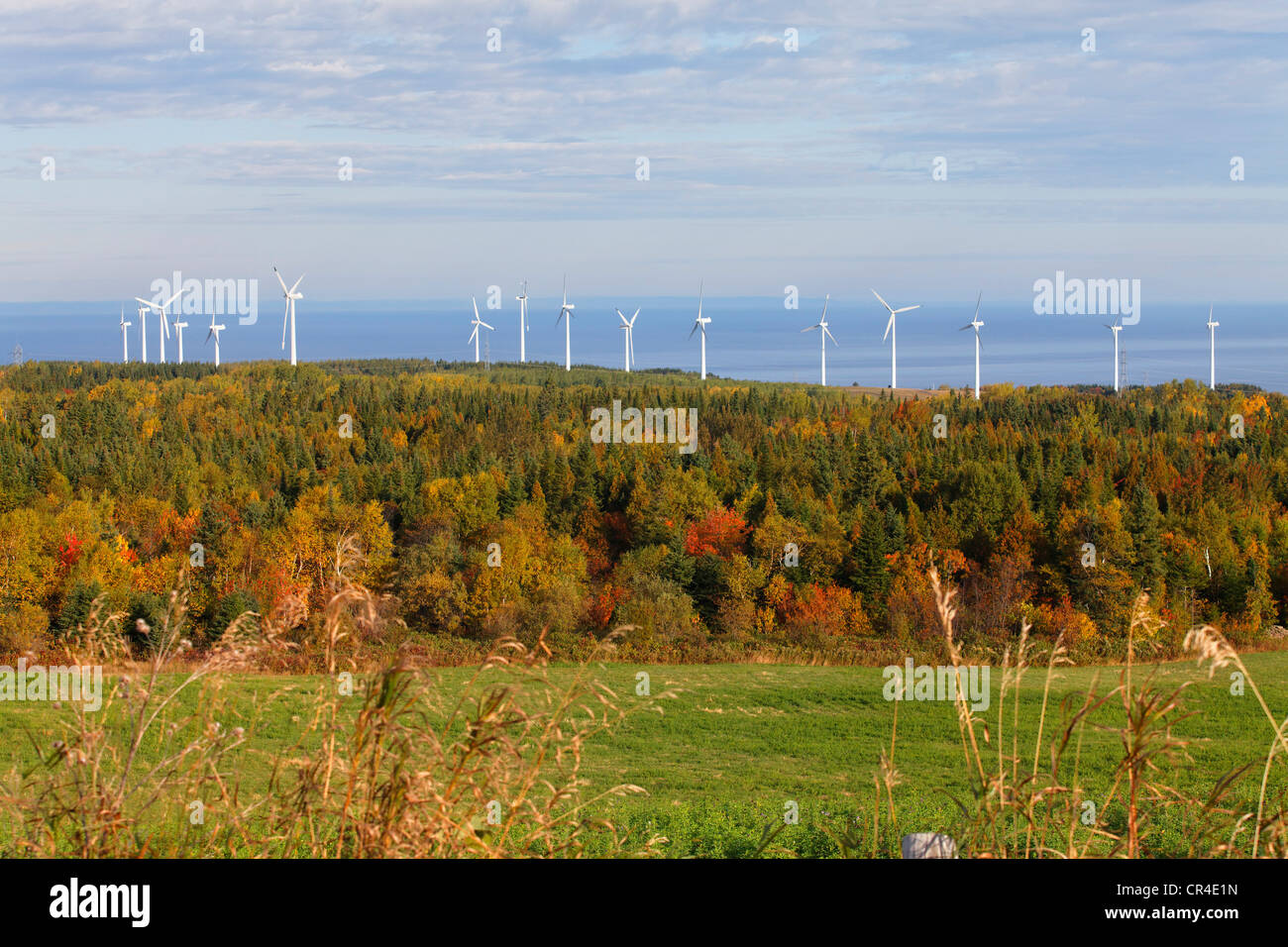 Wind turbines, wind farm, Cap Chat, Matane, Gaspesie, Quebec, Canada ...