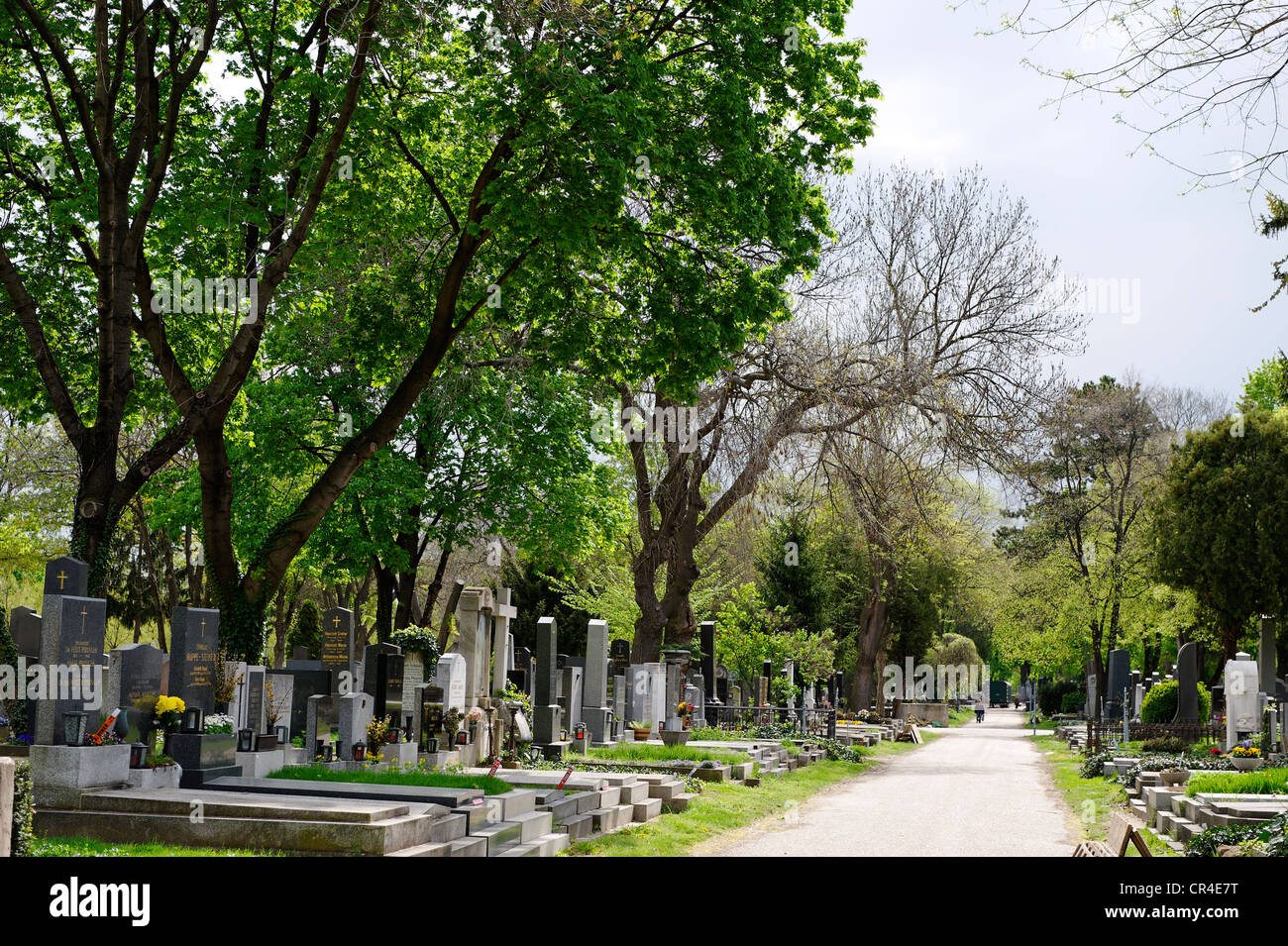 Wiener Zentralfriedhof, Vienna's central cemetery, Vienna, Austria ...