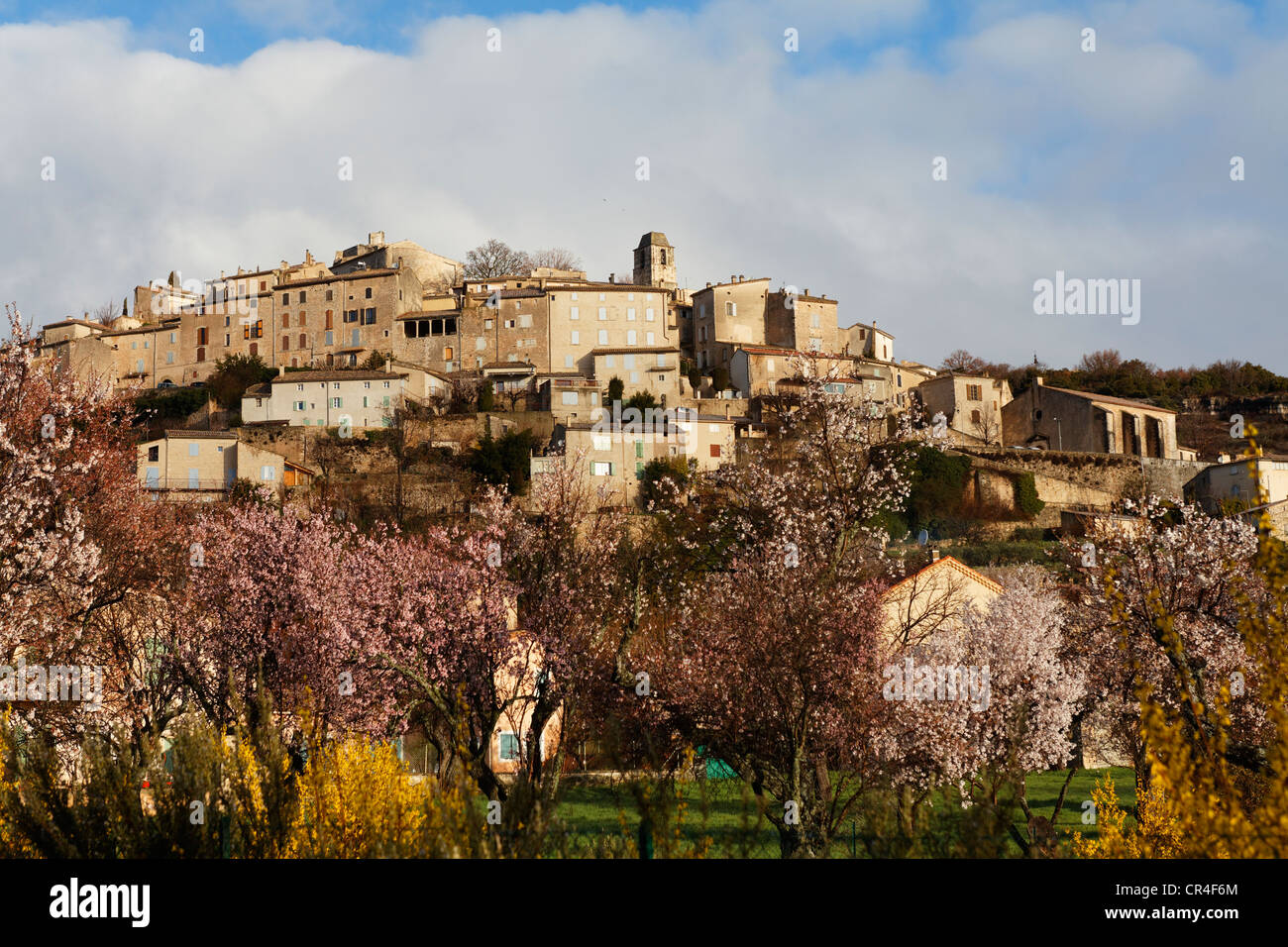 Simiane-la-Rotonde village, Alpes-de-Haute-Provence, France, Europe ...