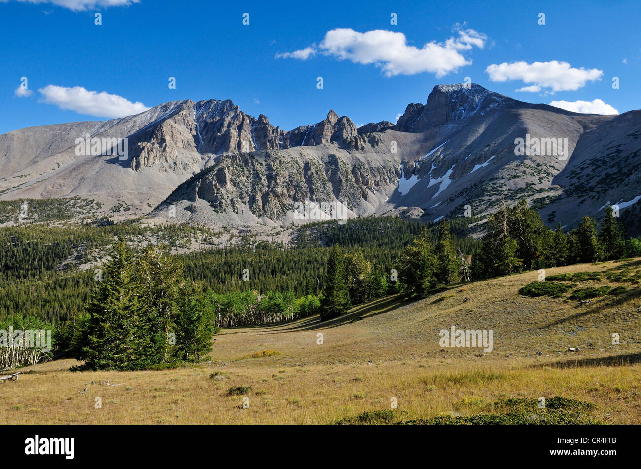 Great basin national park nevada hi-res stock photography and images ...
