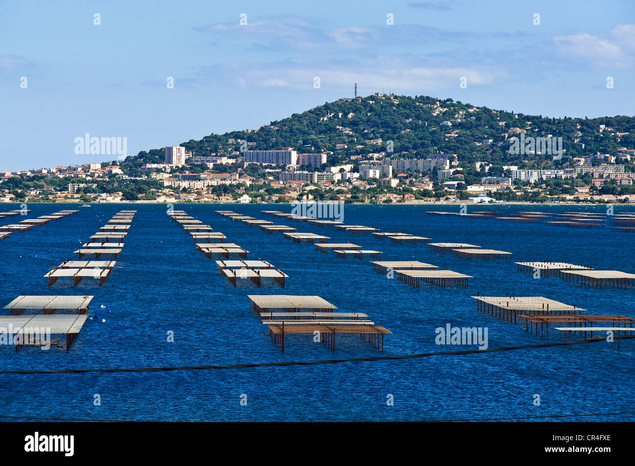 France, Herault, Bouzigues, Bassin de Thau, oyster parks facing Mont ...