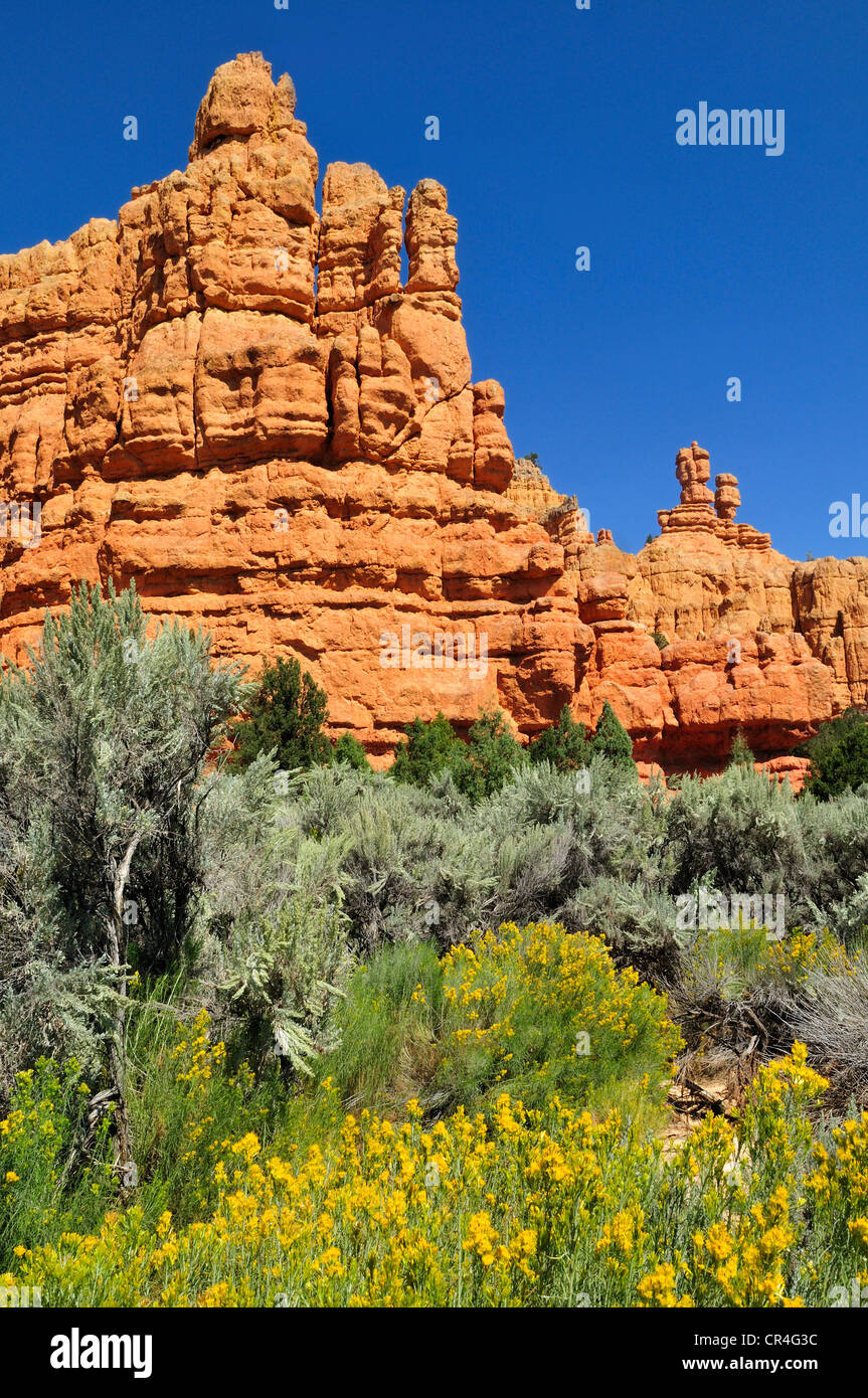 Claron formation hi-res stock photography and images - Alamy