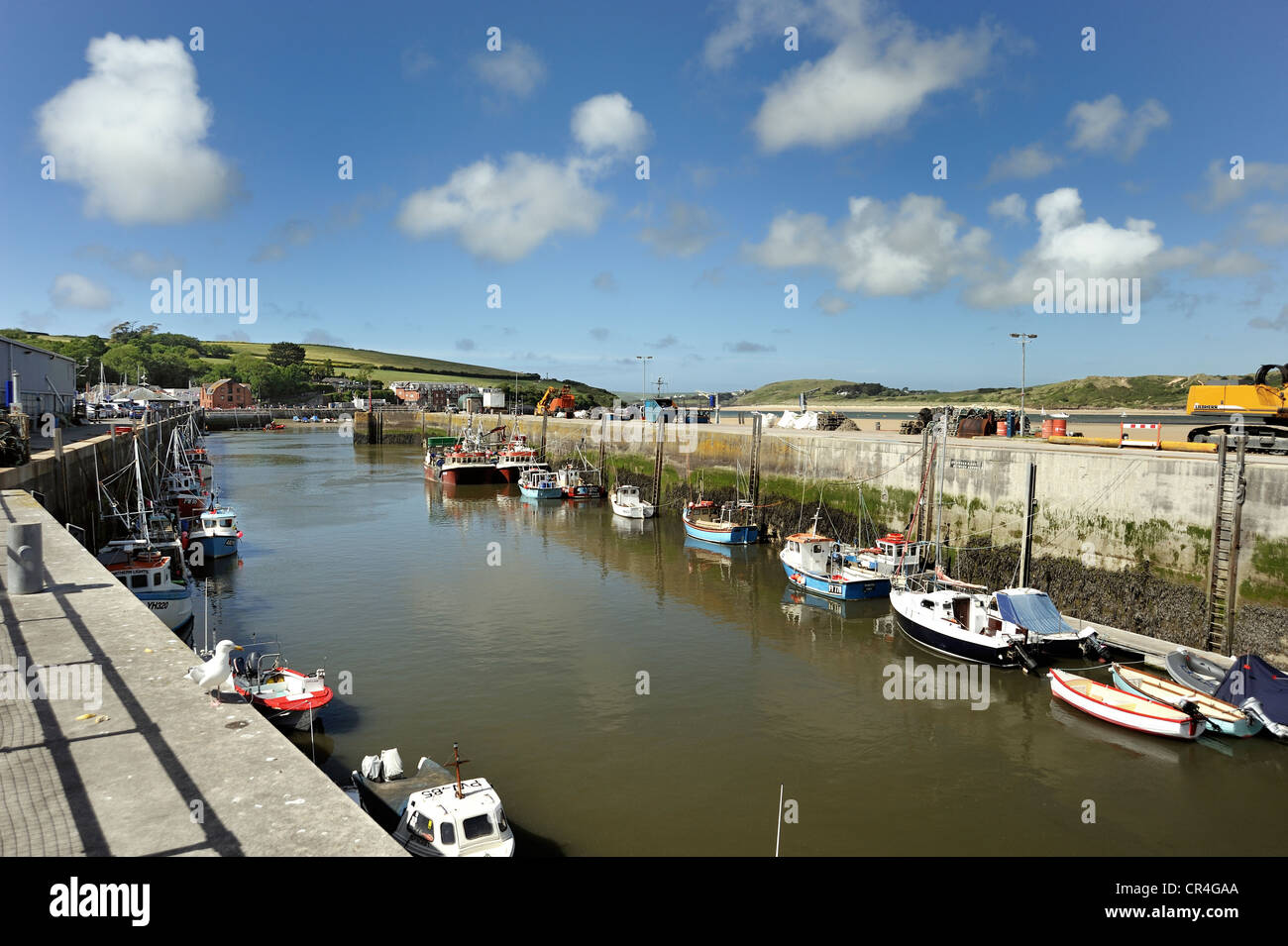 Padstow Harbour For Sea Fishing at Rose Longstaff blog