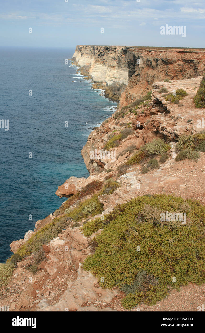 Cliffs of the Great Australian Bight Stock Photo - Alamy