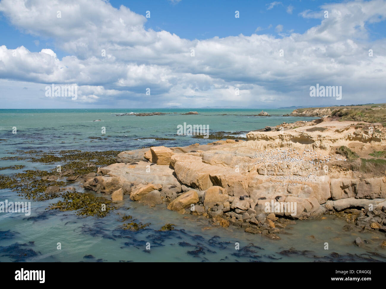 Maori point hi-res stock photography and images - Alamy