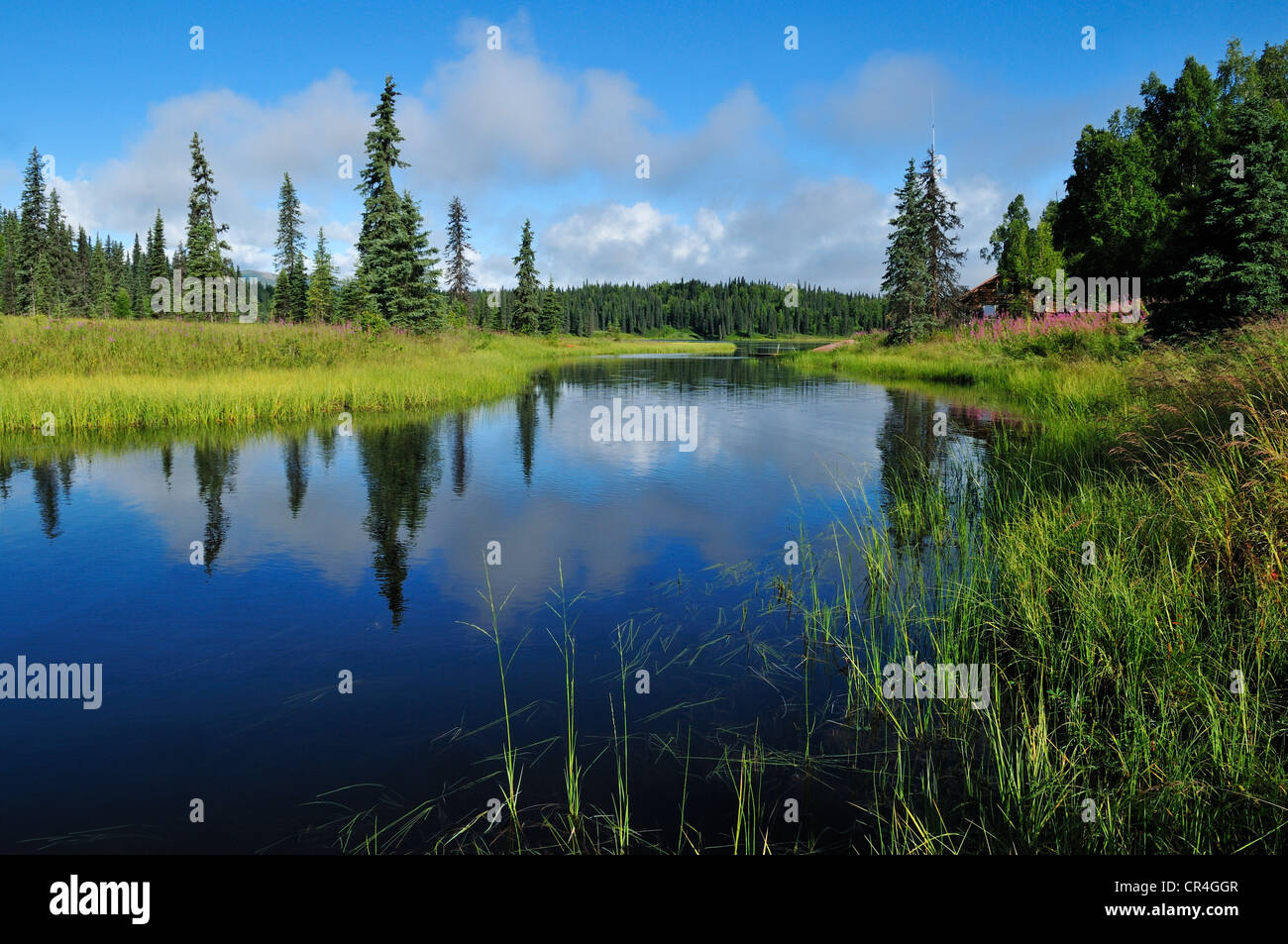 Subarctic hi-res stock photography and images - Alamy