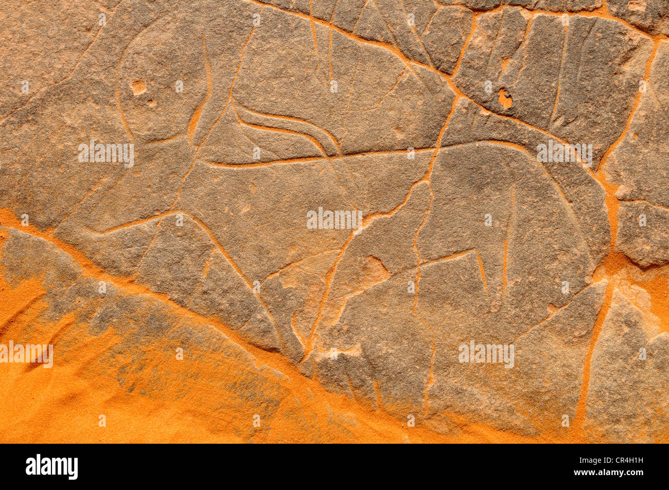 Neolithic rock art of the tadrart hi-res stock photography and images ...