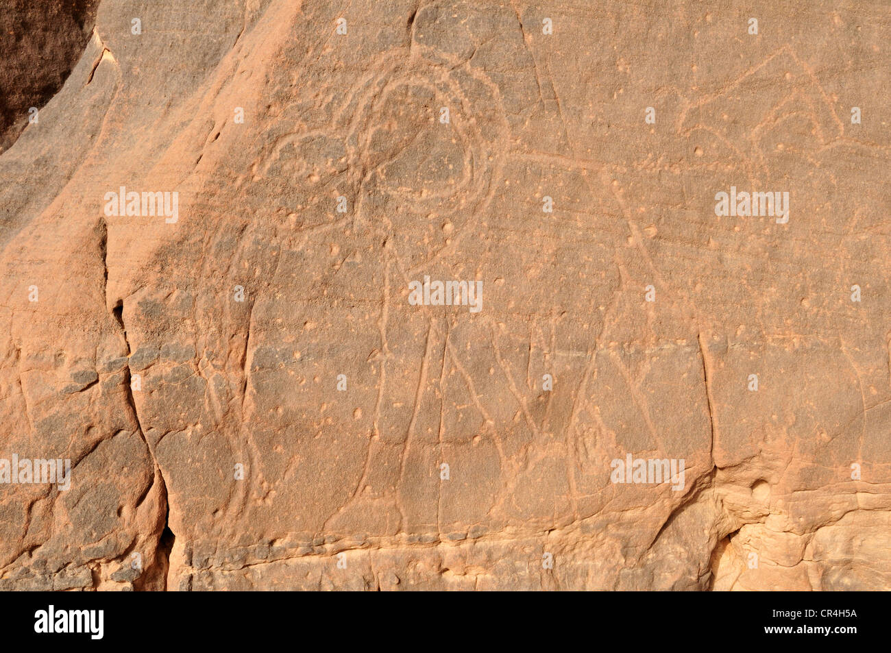 Elephant engraving, neolithic rockart of the Acacus Mountains or ...
