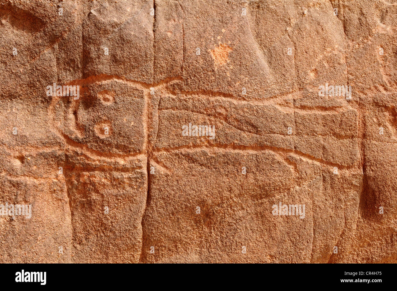 Fish engraving, neolithic rockart of the Acacus Mountains or Tadrart ...