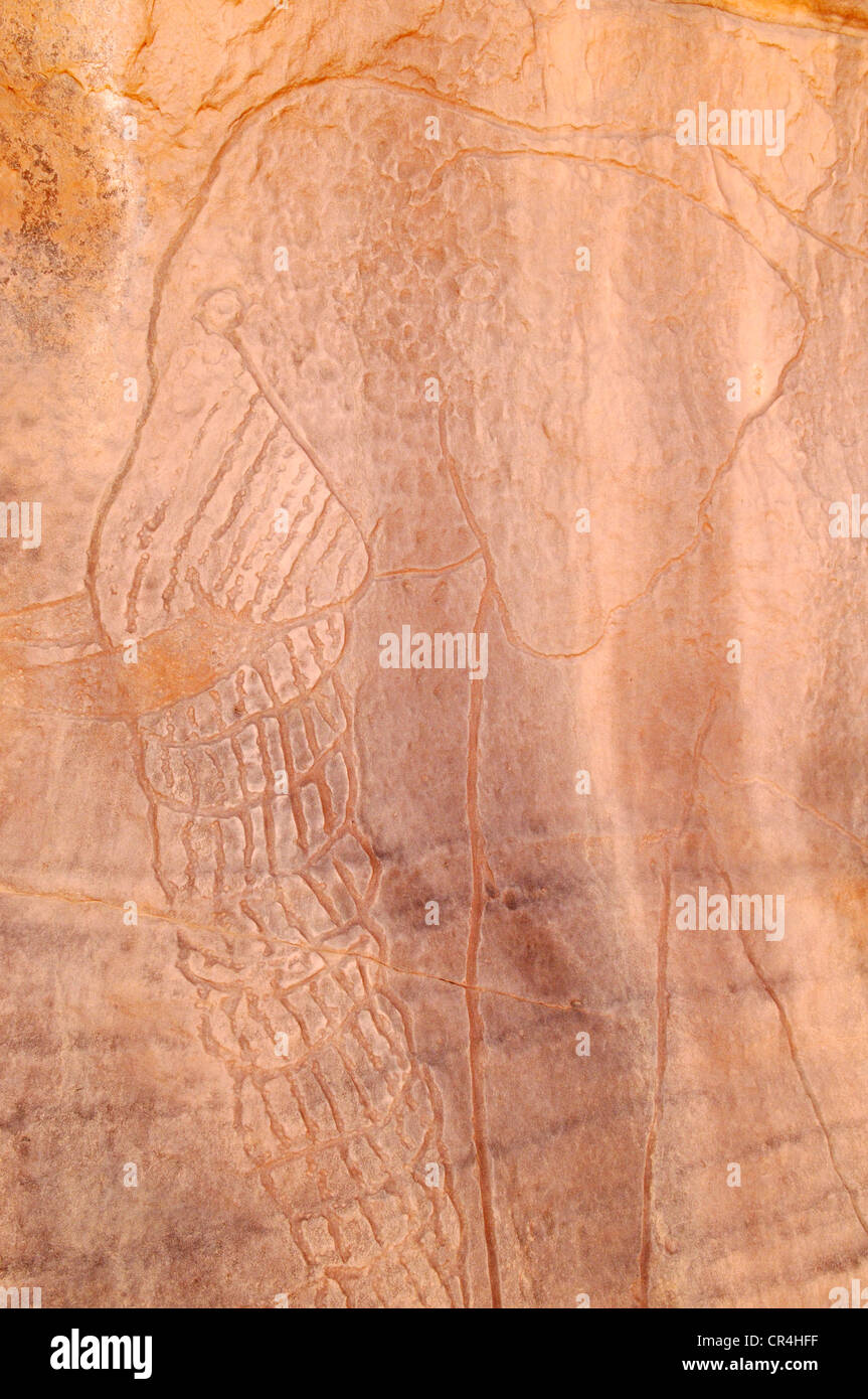 Neolithic rockart, elephant engraving, of the Acacus Mountains or ...