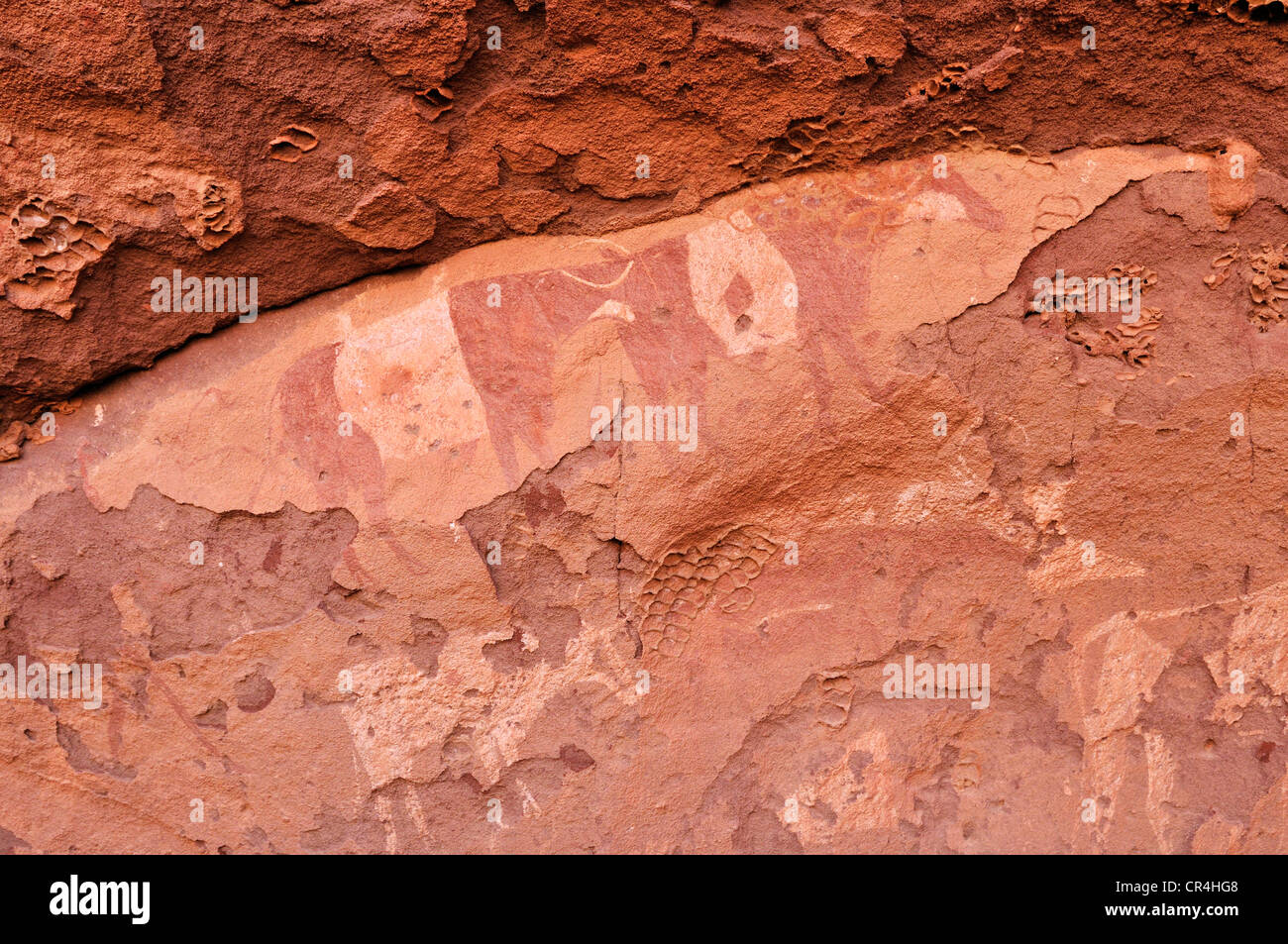 Neolithic cattle hi-res stock photography and images - Alamy