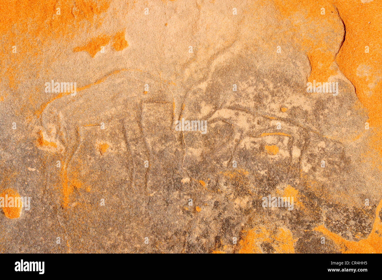 Wilddog hunting gazelle, neolithic rockart of the Acacus Mountains or ...
