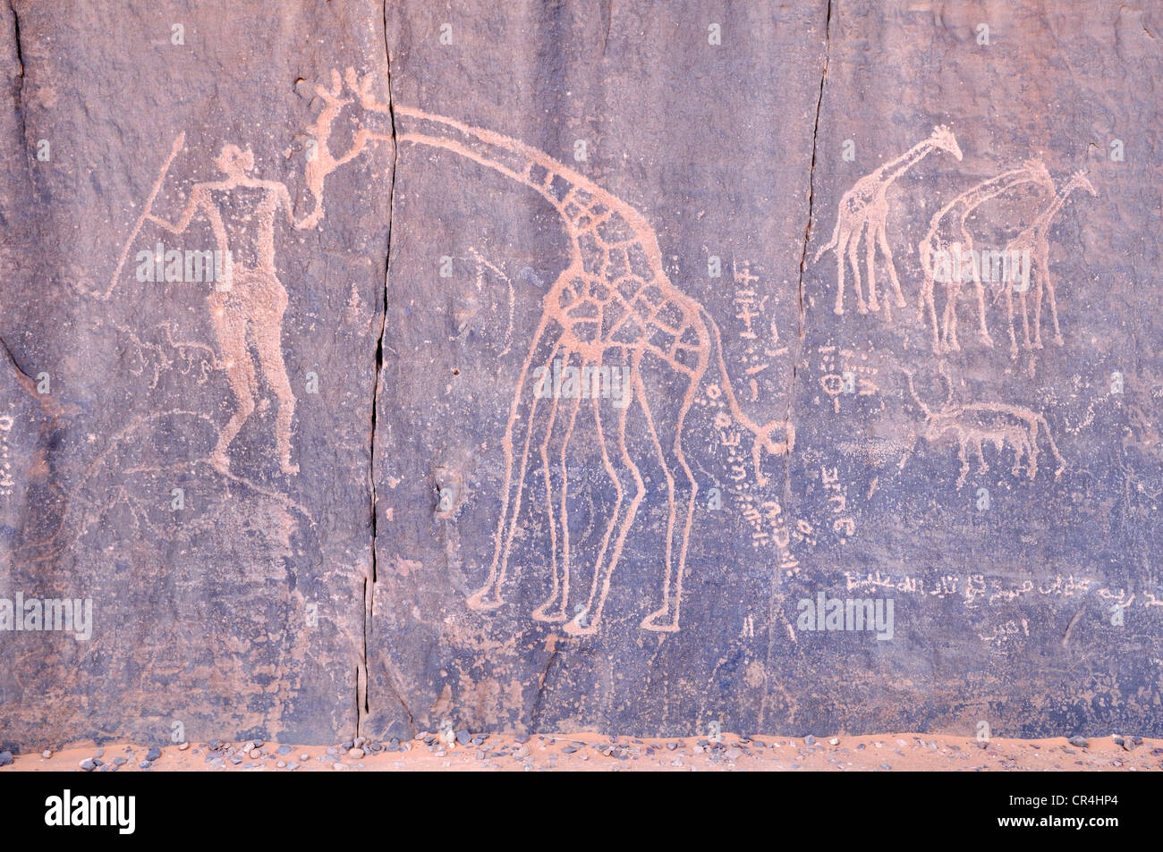 Neolithic Rock Art Giraffe Engraving Of The Tadrart Tassili N Ajjer Neolithic Rock Art Giraffe Engraving Of The Tadrart Tassili N Ajjer