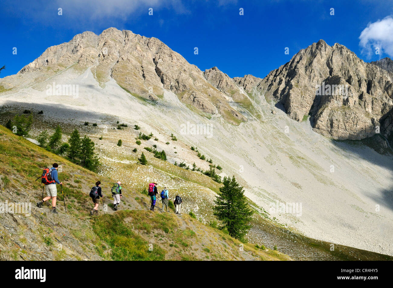 Hiking, trekking group on an alpine trail in Mercantour National Park ...