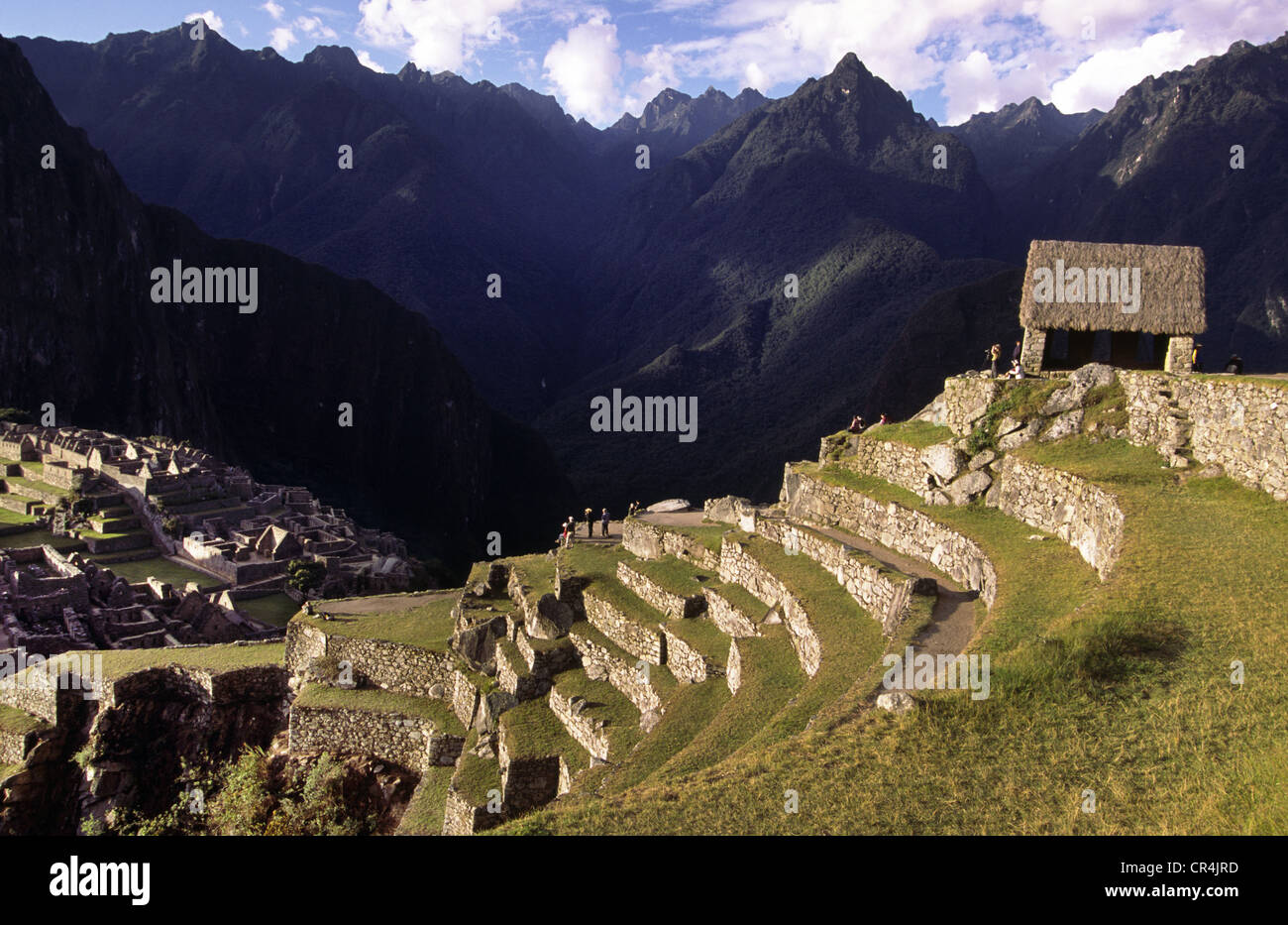Terraces at Machu Picchu, Peru Stock Photo - Alamy
