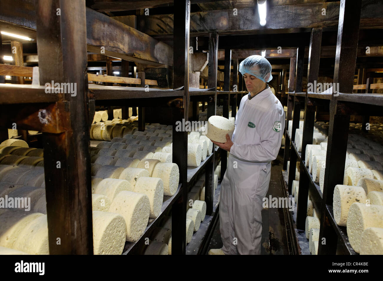 Master cheese maker with rows of cheese stored in the maturing cellars ...