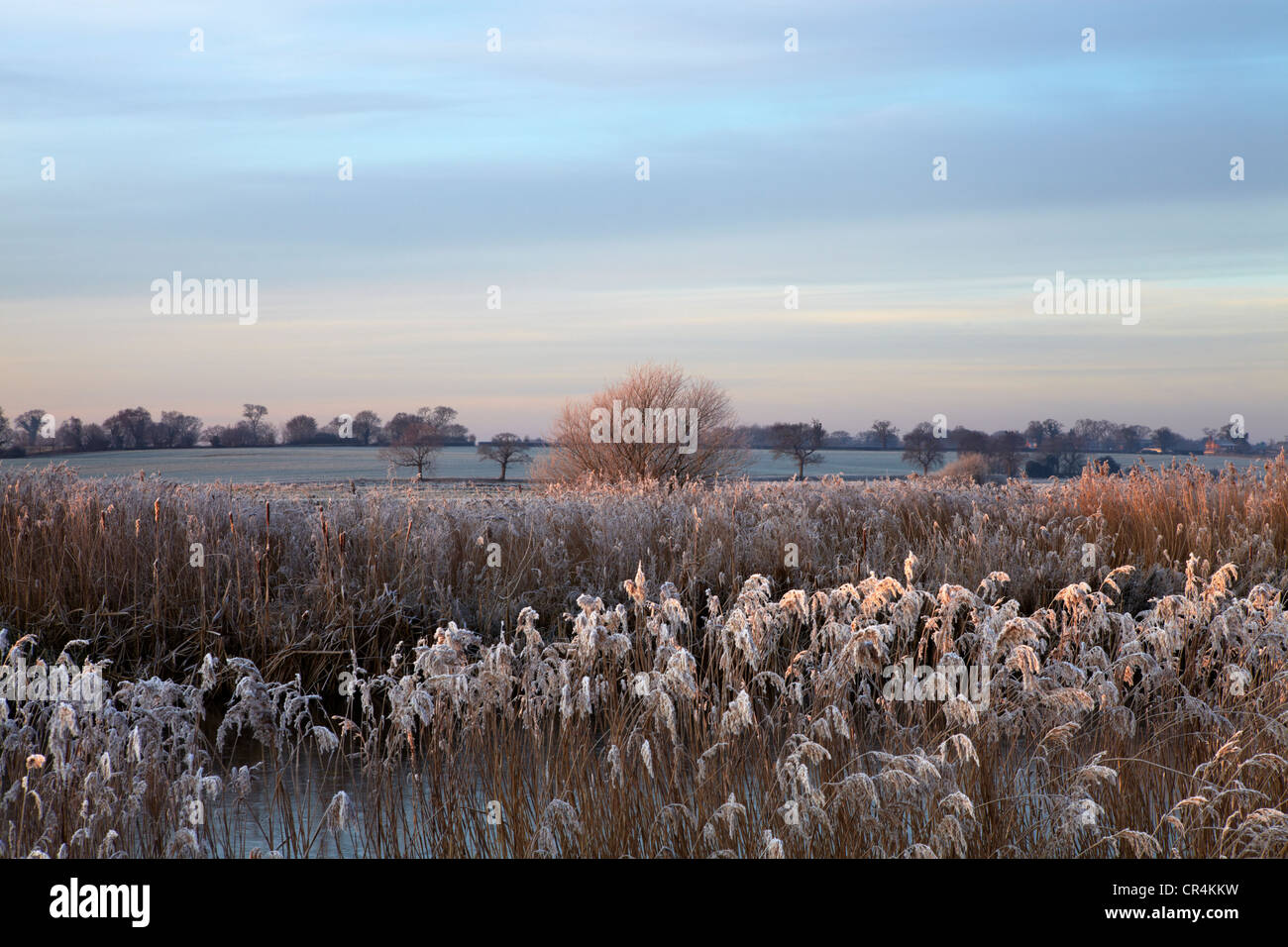 Norfolk Broads winter scene near Ludham Bridge , Norfolk, England Stock ...