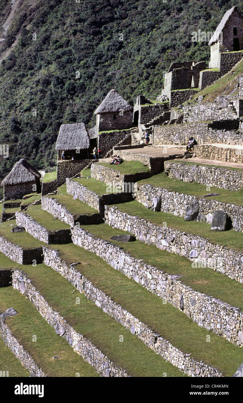 Agricultural terraces at Machu Picchu, Peru Stock Photo - Alamy