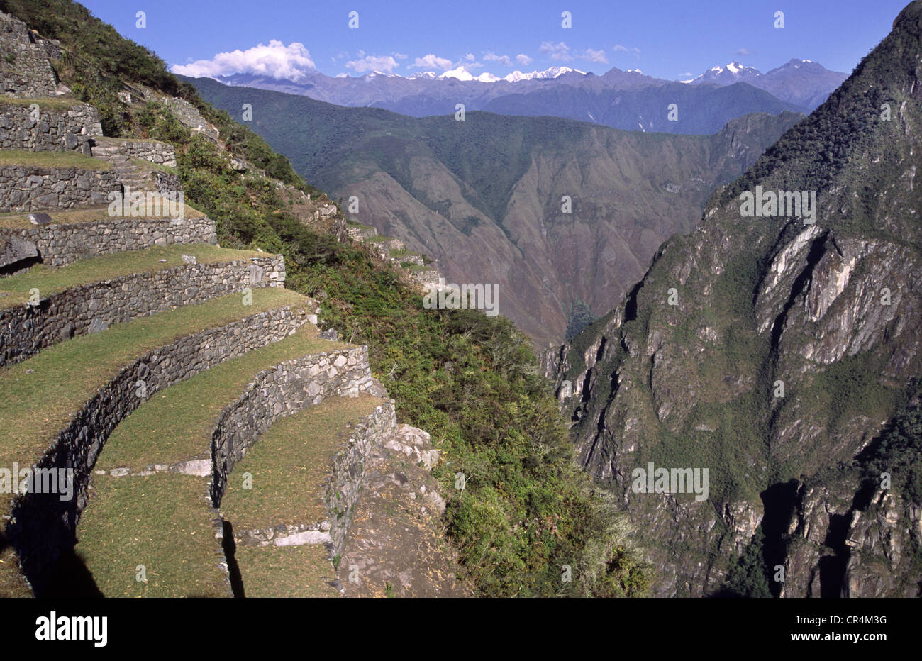 Agricultural terraces at Machu Picchu, Peru Stock Photo - Alamy